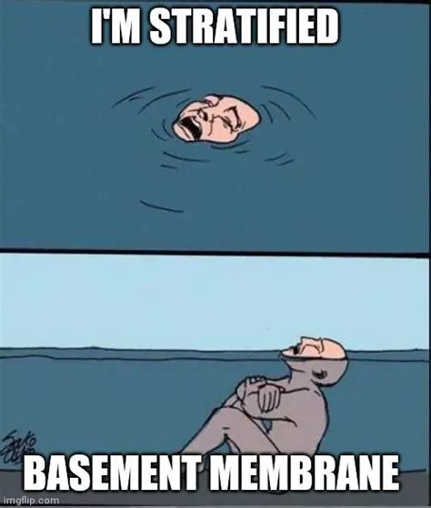 Pseudostratified Cells Be Like Scrolller