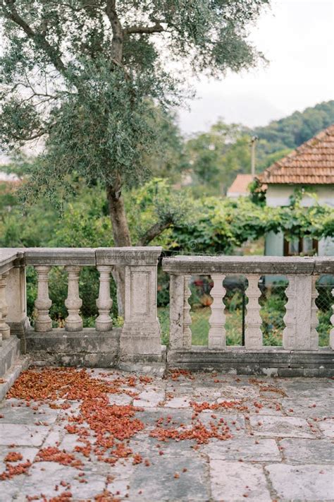 Stone Balustrade Of The Terrace Of An Old Building In The Garden Stock