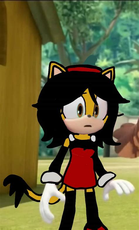 Honey The Cat 16 By Natyrumin On Deviantart