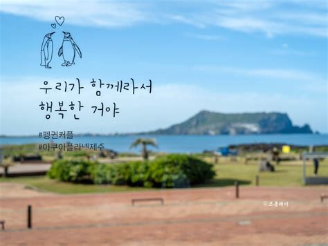 제주 동쪽 가볼만한곳 제주도 실내 관광지 아쿠아플라넷 네이버 블로그