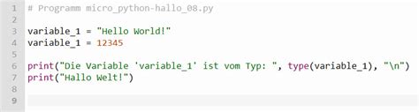 Programmieren Mit Micropython Teil 1