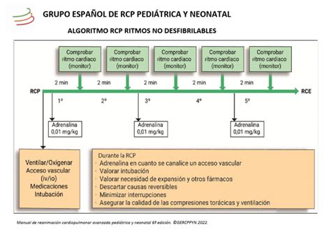 5 Algoritmo Rcp Avanzada Ritmos No Desfibrilables Horizontal Dina3 Y