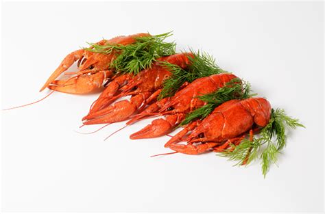 해물 요리 붉은 가재 삶은 맥주에 대 한 간식의 종류입니다 갈고리 발톱에 대한 스톡 사진 및 기타 이미지 갈고리 발톱 갑각류 강 Istock