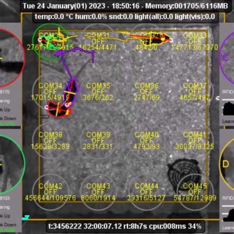 Live Tracking Of Multiple Mice In A Neuromelanin Inducing Pd Model Over Several Weeks