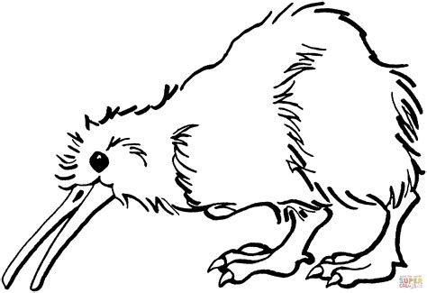 Kiwi Is Looking For Food Coloring Page Free Printable Coloring Pages