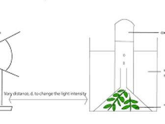 AQA GCSE Biology Required Practical Light Intensity And Photosynthesis Diagram Quizlet