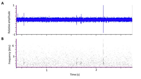 A Oscillogram And B Spectrogram Of Incidental Movements Produced By Download Scientific
