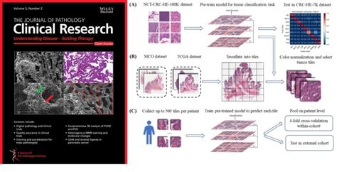 Steven Xu On Linkedin Ai Deeplearning Artificialintelligence