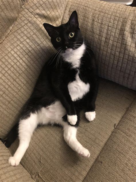 My Chunky Girl Rpics