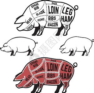 牛肉和猪肉切块的矢量图解插画图片下载 正版图片402267745 摄图网