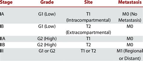Enneking Classification Of Musculoskeletal Sarcomas Download