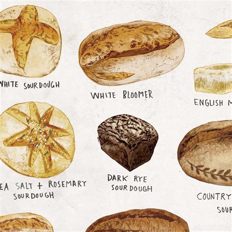 Organic Craft Breads Poster Hireillo Hire An Illustrator