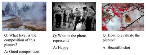 Pictures Questions And Answers In The Aesthetic Vqa Dataset