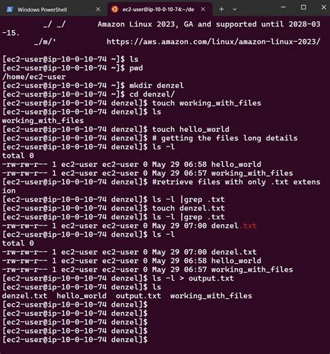 Learning Linux Commands And Cloud Computing Denzel Gitonga Posted On The Topic Linkedin