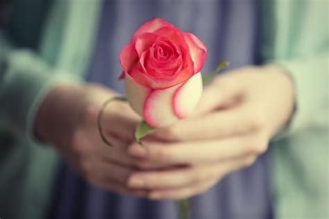 عکس پروفایل گل زیبا و شیک، خاص و جدید دخترانه برای واتساپ و تلگرام