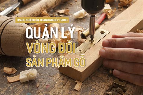 Trách nhiệm của doanh nghiệp trong quản lý vòng đời sản phẩm gỗ