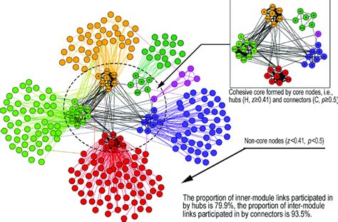Maintenance Role Of Core Nodes In Network Structure Integration
