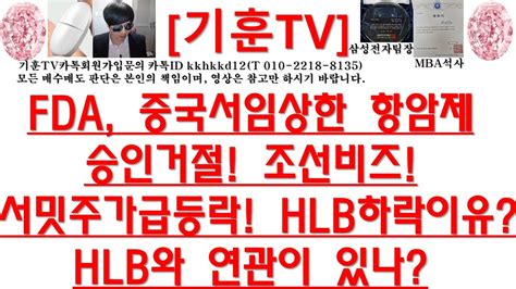 주식투자 HLB FDA 중국서임상한 항암제승인거절 조선비즈 서밋 주가급등락 HLB하락이유 HLB와 연관이 있나