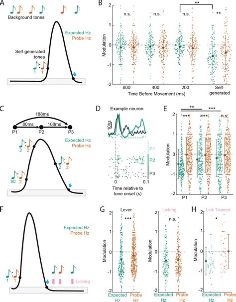 Precise Movement Based Predictions In The Mouse Auditory Cortex Pmc