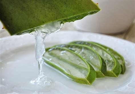 去海邊曬傷怎麼辦？擦蘆薈真的有用嗎？5個「曬傷後療法」步驟介紹 Togayther