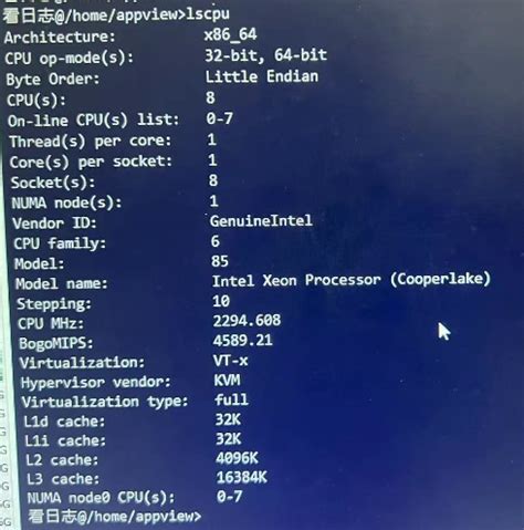 Linux命令之查找CPU资源利用情况lscpu和top详解 我不想一直当菜鸟 博客园