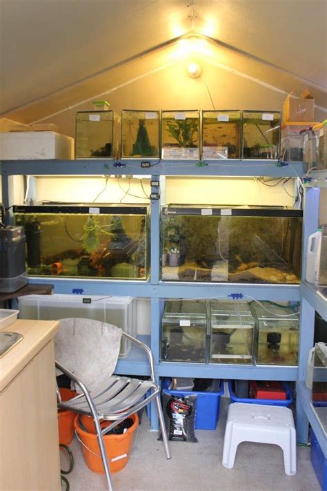 New Fishroom