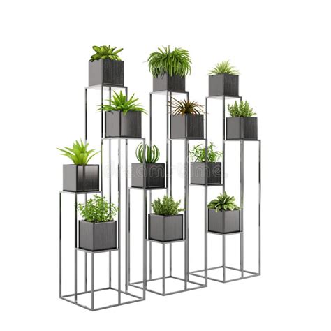 Diferentes Tipos De Plantas Verdes Sobre Una Maceta De Flores Sobre Un