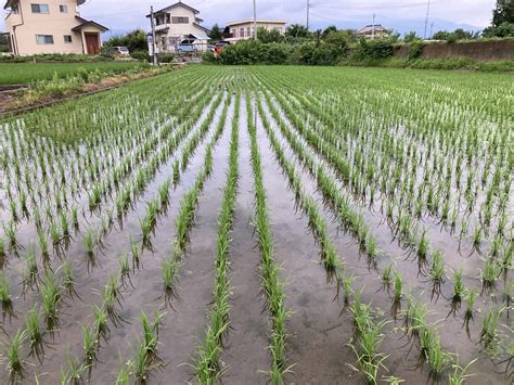Ubufarm