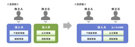 M A Capital Evolver