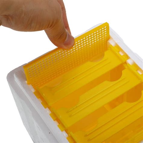 Foam Hive Box Bee Queen Mating Box Copulation Poll Grandado
