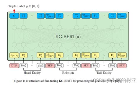 Kg Bert Bert For Knowledge Graph Completion 2019acl Csdn博客