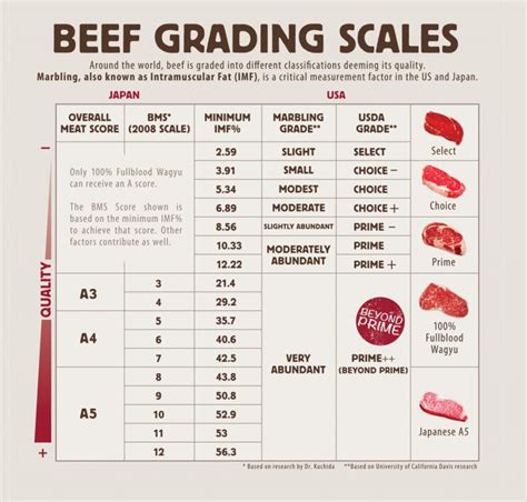 How To Cook An Australian Wagyu Ribeye On The Bb Prime Jjgeorge