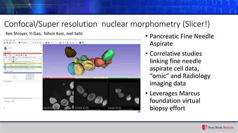 Tools To Analyze Morphology And Spatially Mapped Molecular Data Information Technology For