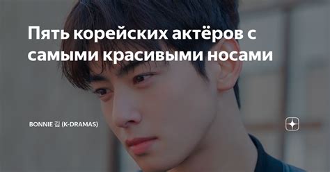 Пять корейских актёров с самыми красивыми носами Bonnie 김 K Dramas