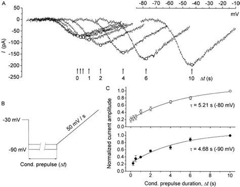 Time Dependence Of Recovery From Inactivation Of Inap The Voltage Download Scientific Diagram