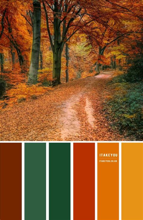 Pin By 𝓝𒉔𝓵𝓵𝔂 On Paletas De Colores Color Schemes Colour Palettes