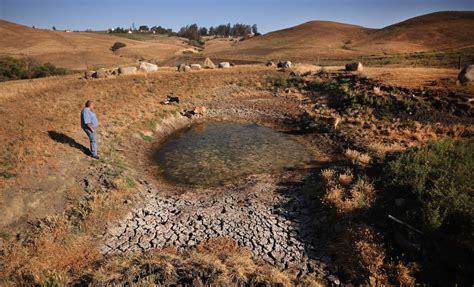 Sonoma County Farmers Facing Heartbreaking Crisis In Drought