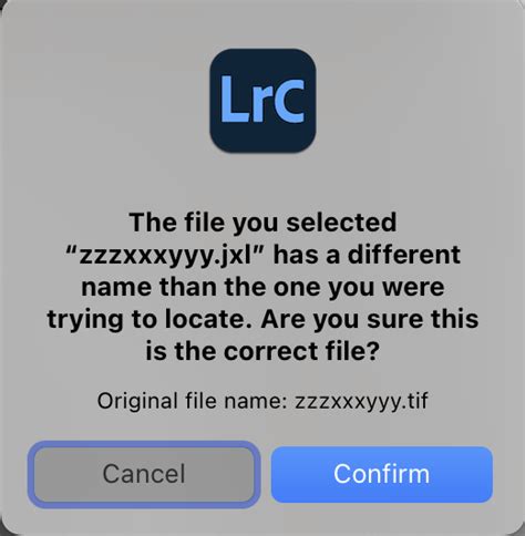 P Cannot Write Metadata To Certain Third Party Cr Adobe Community 14305696