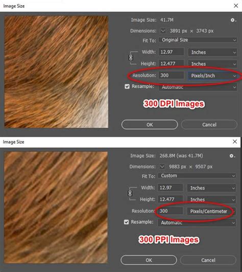 How To Convert Images To Dpi Clipping Photo Experts