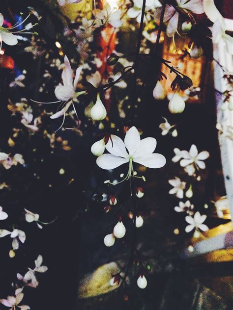 Colors Of Tet Mintee Corner