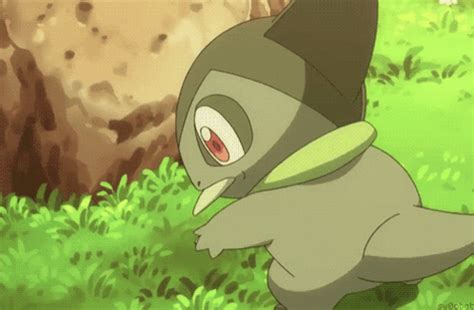 Axew Pokemon  Axew Pokemon Anime Descubre Y Comparte 