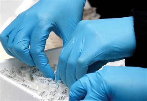 Research Report 2015 By Cape Peninsula University Of Technology Issuu