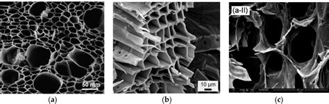 Figure 1 From Preparation And Application Of Biochar Based Catalysts