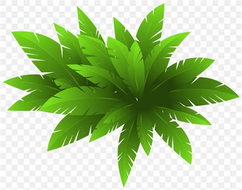 Plant CorelDRAW Clip Art PNG 5945x4686px Plant Cannabis Coreldraw