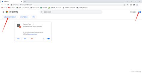 浏览器插件扩展安装clipboardproxycrx Csdn博客