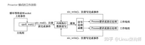 C实现高并发服务器 Reactor高并发模型 知乎
