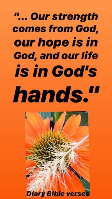 Diary Bible Verses 🧡 Facebook