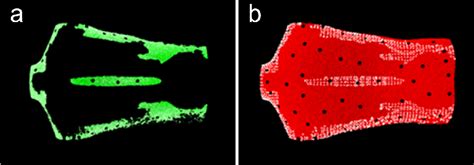 Figure 3 From Cross Source Point Cloud Registration Algorithm Based On