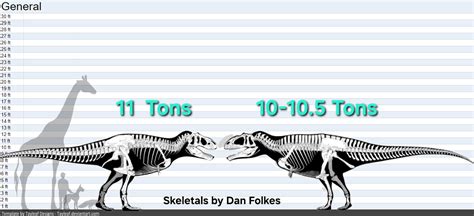 Giganotosaurus And Trex Size Comparison 2024 I Take Size Comparison