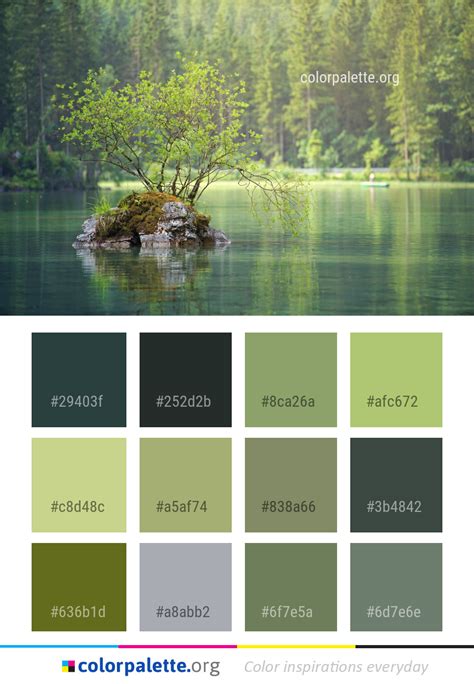 Grassland Wilderness Ecosystem Color Palette